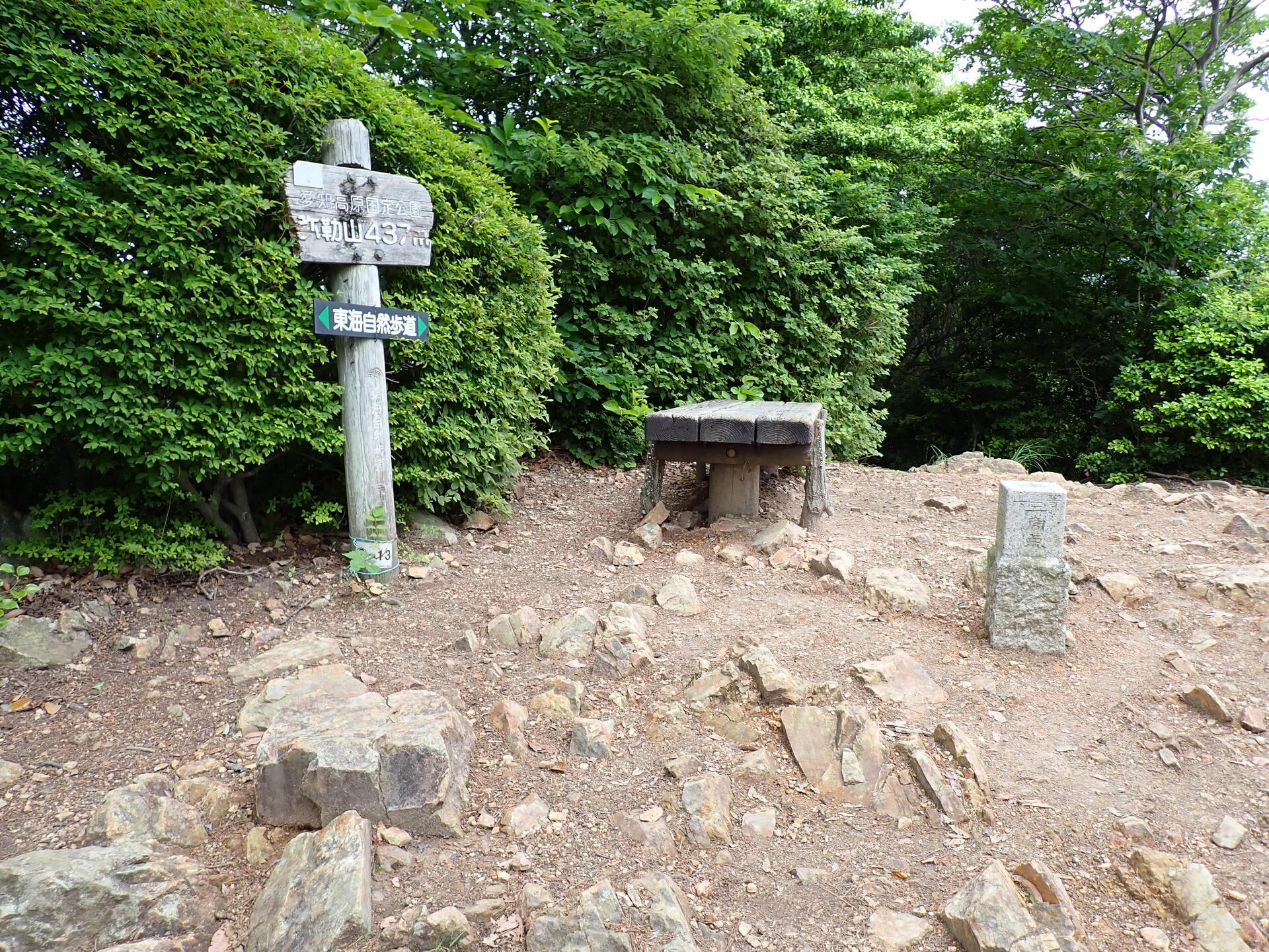 弥勒山･大谷山･道樹山～トキソウムヨウラン、細野から周回～: さぶの気ままな山旅