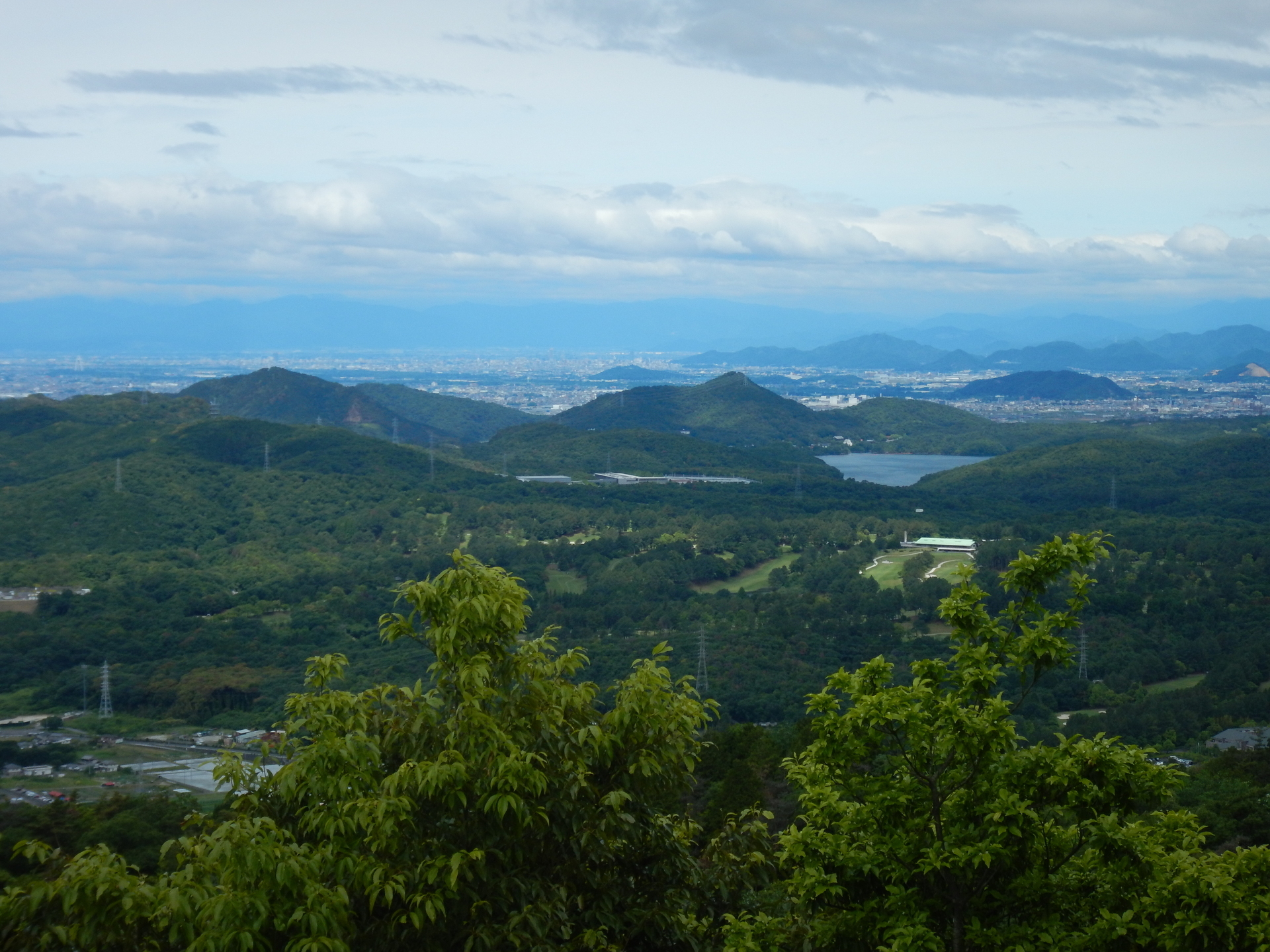 弥勒山･大谷山･道樹山～トキソウムヨウラン、細野から周回～: さぶの気ままな山旅
